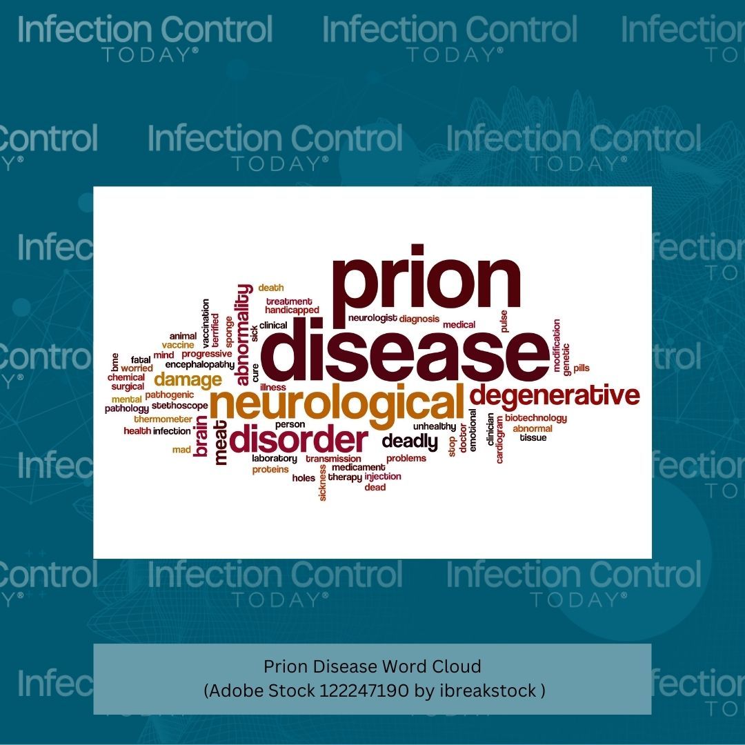 Unraveling Prions: A Critical Guide for Health Care Workers to Combat ...