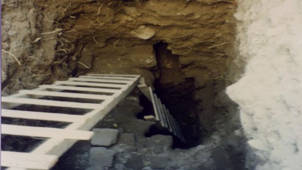 Human Parasites Found in Medieval Cesspit Provide Insights on Disease ...