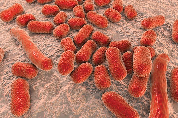 How Infection Preventionists and Hospital Administrators Can Tackle 2 ...