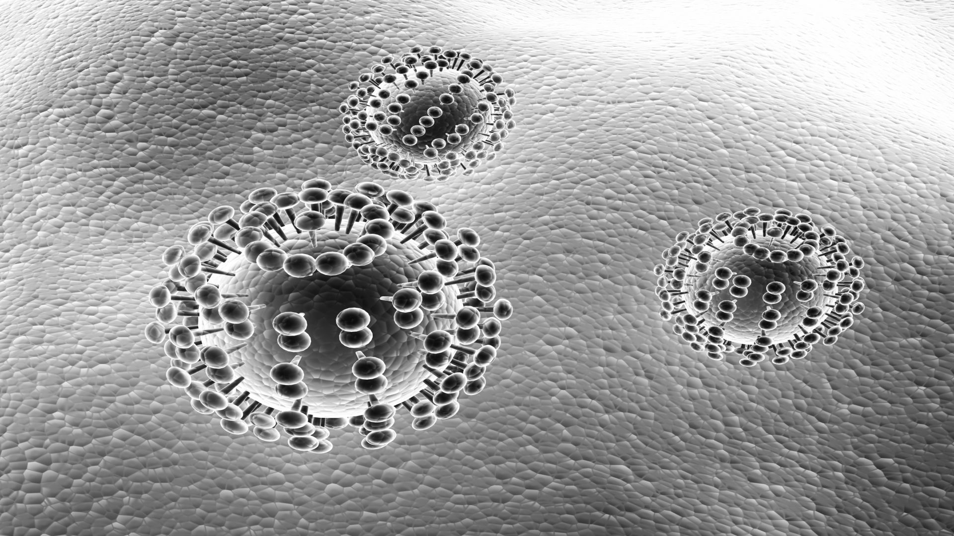 Identifying Features of Influenza Virus Genome May Help Target ...