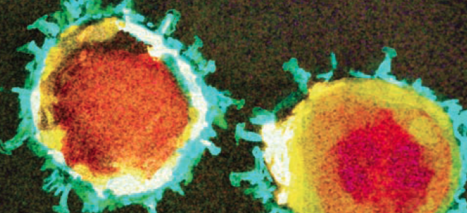 Method That Repels Pathogens from Hospital Surfaces Studied