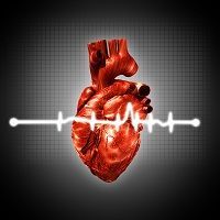 10 States with the Most Heart Disease Deaths | Medical Economics