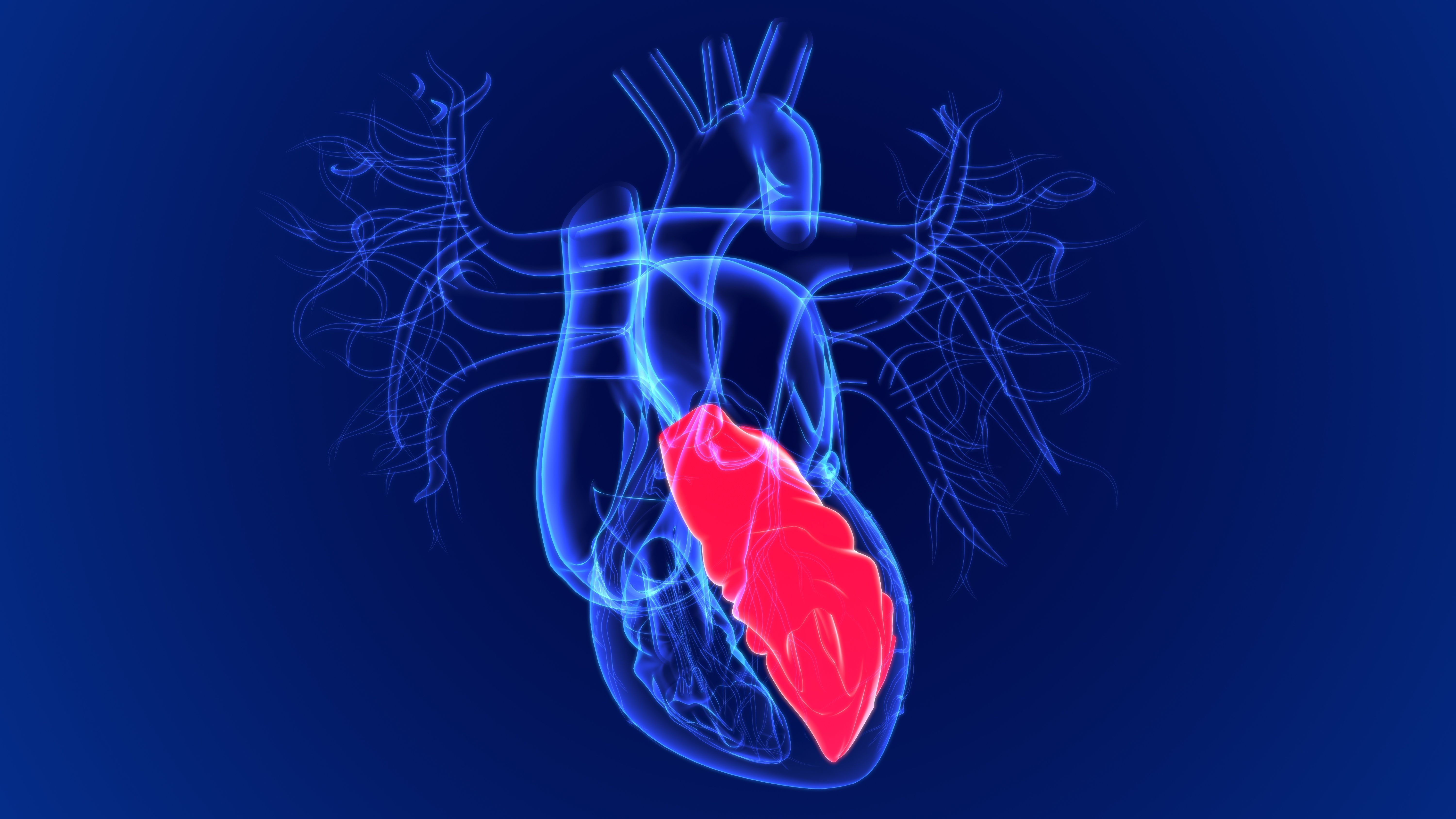 BridgeBio Submits FDA Application for Heart Failure Drug Acoramidis