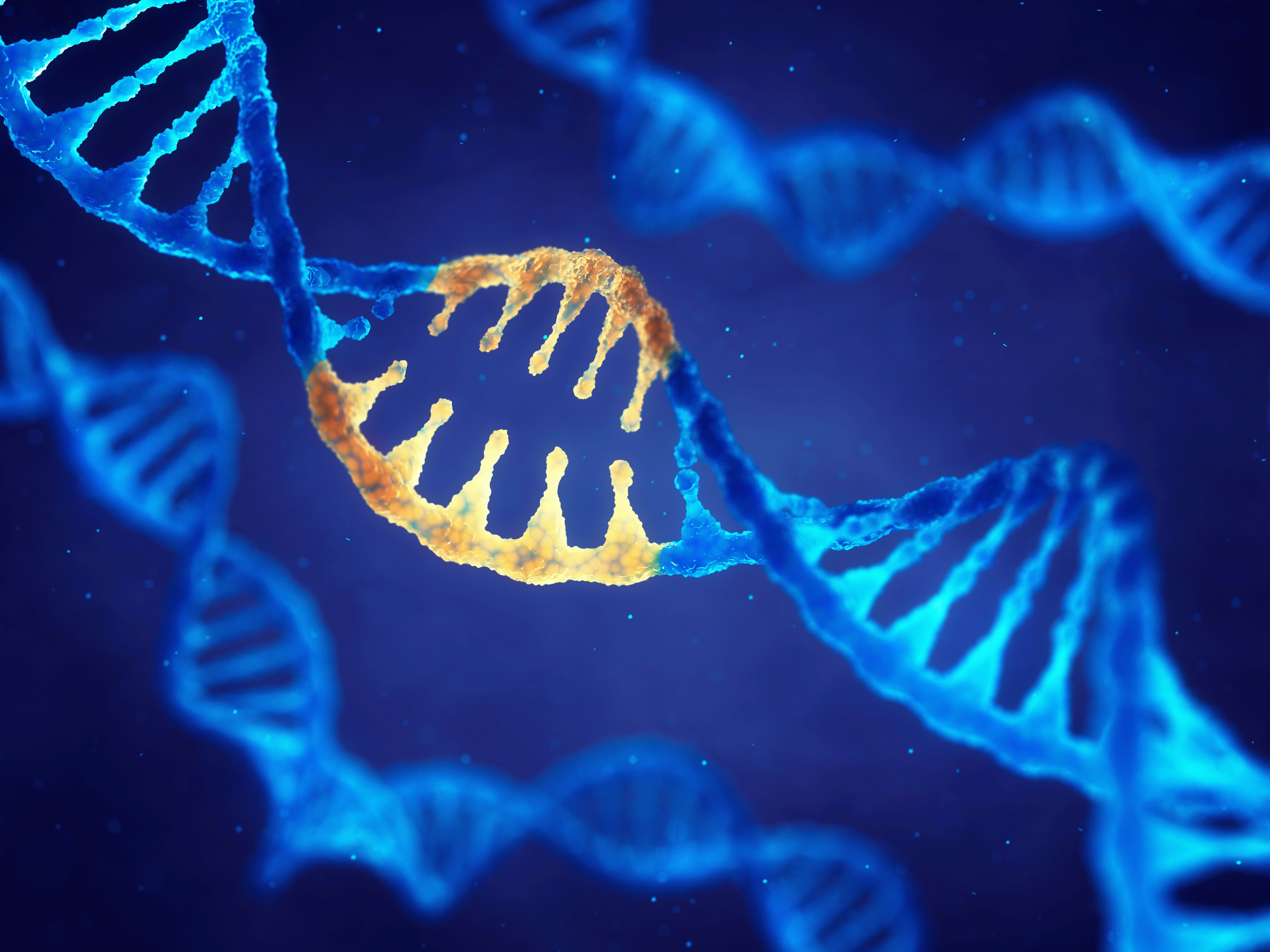 FDA Assigns Review Date for Gene Therapy Atidarsagene Autotemcel