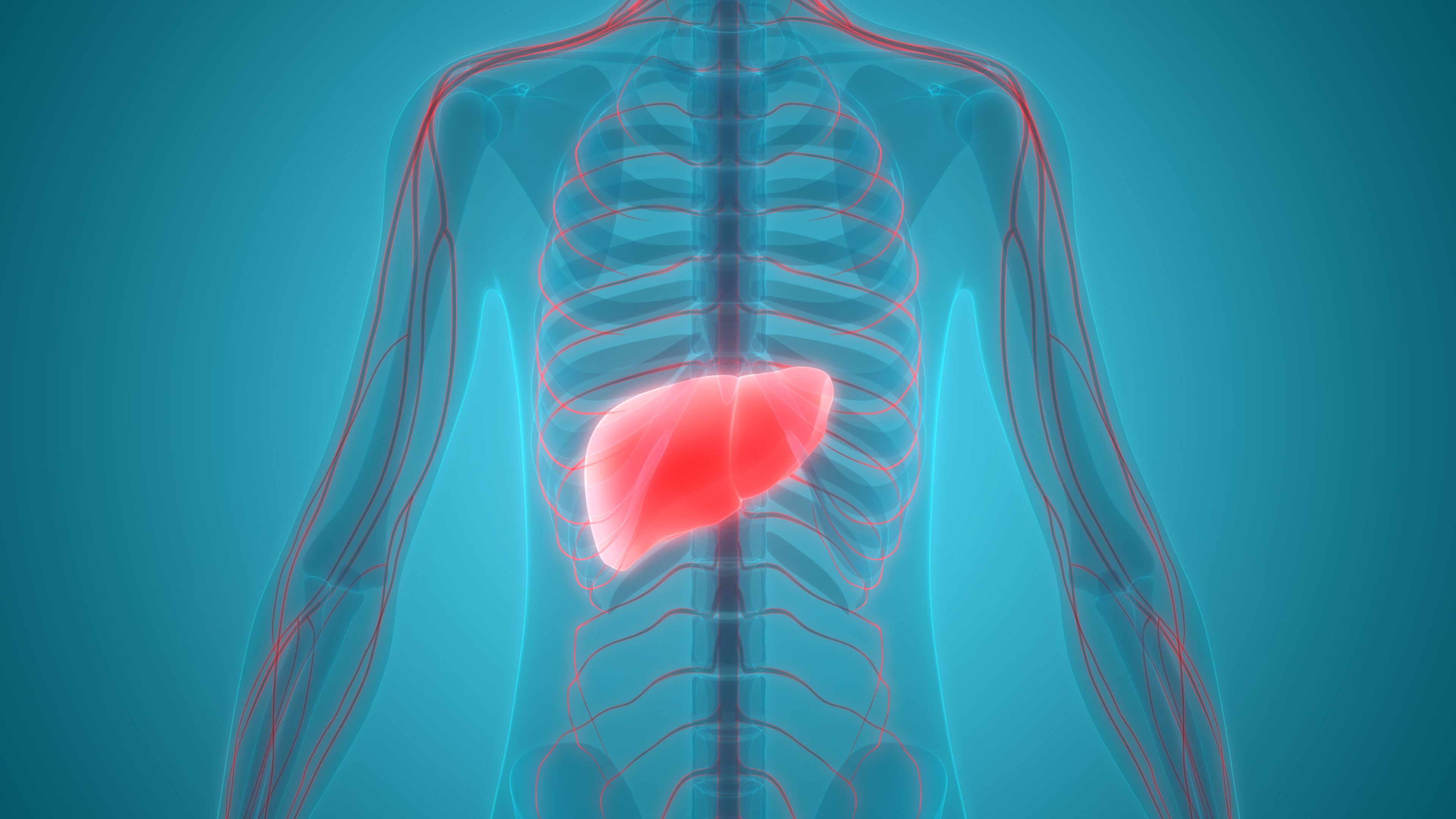 Blood Test For Liver Cancer Shows Promise blood-test-for-liver-cancer-shows-promise