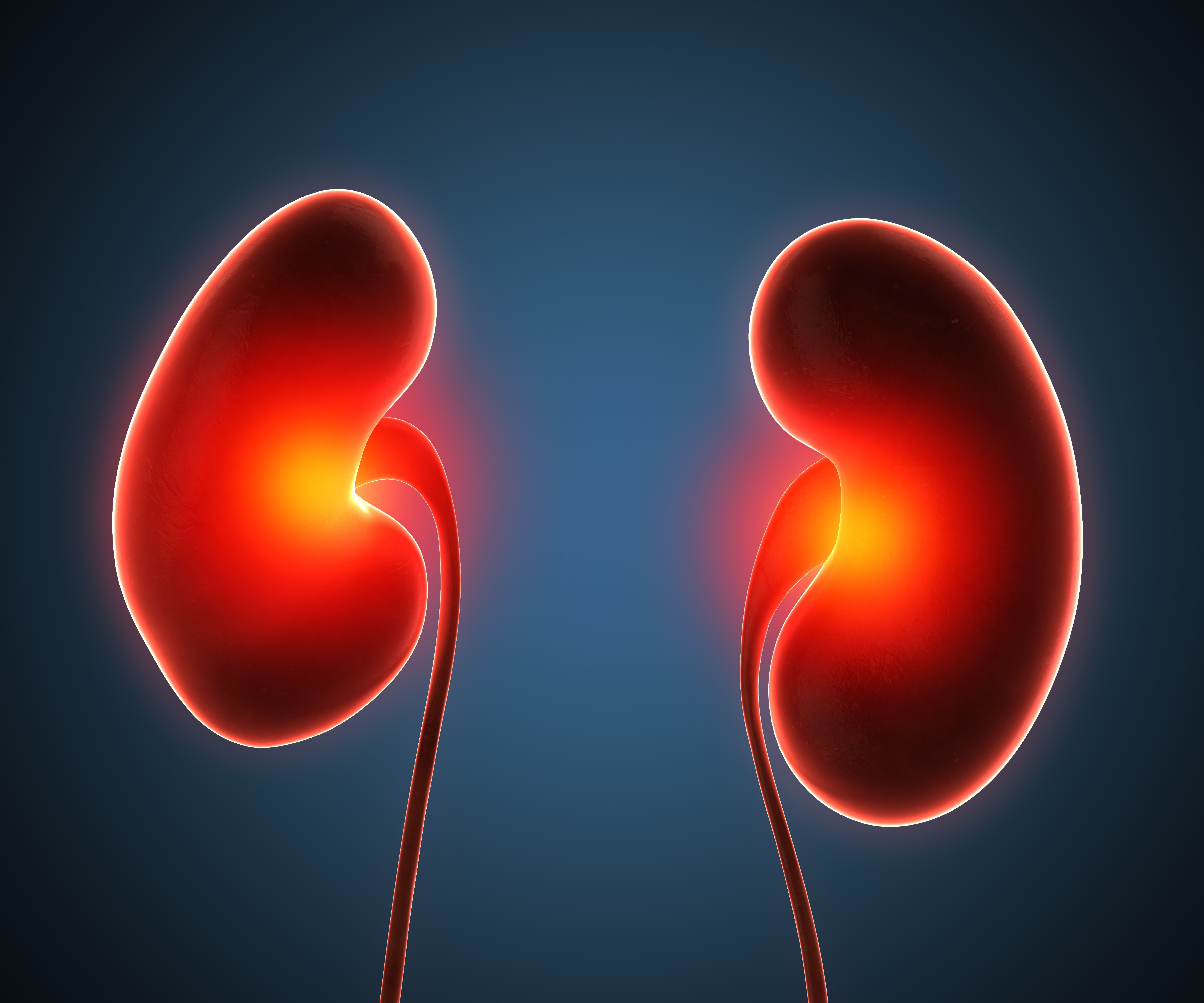 FDA okays renal cell carcinoma treatment Fotivda