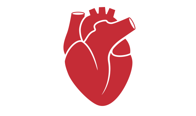 What's New in Hypertrophic Cardiomyopathy, With Gregory Weiss, MD ...