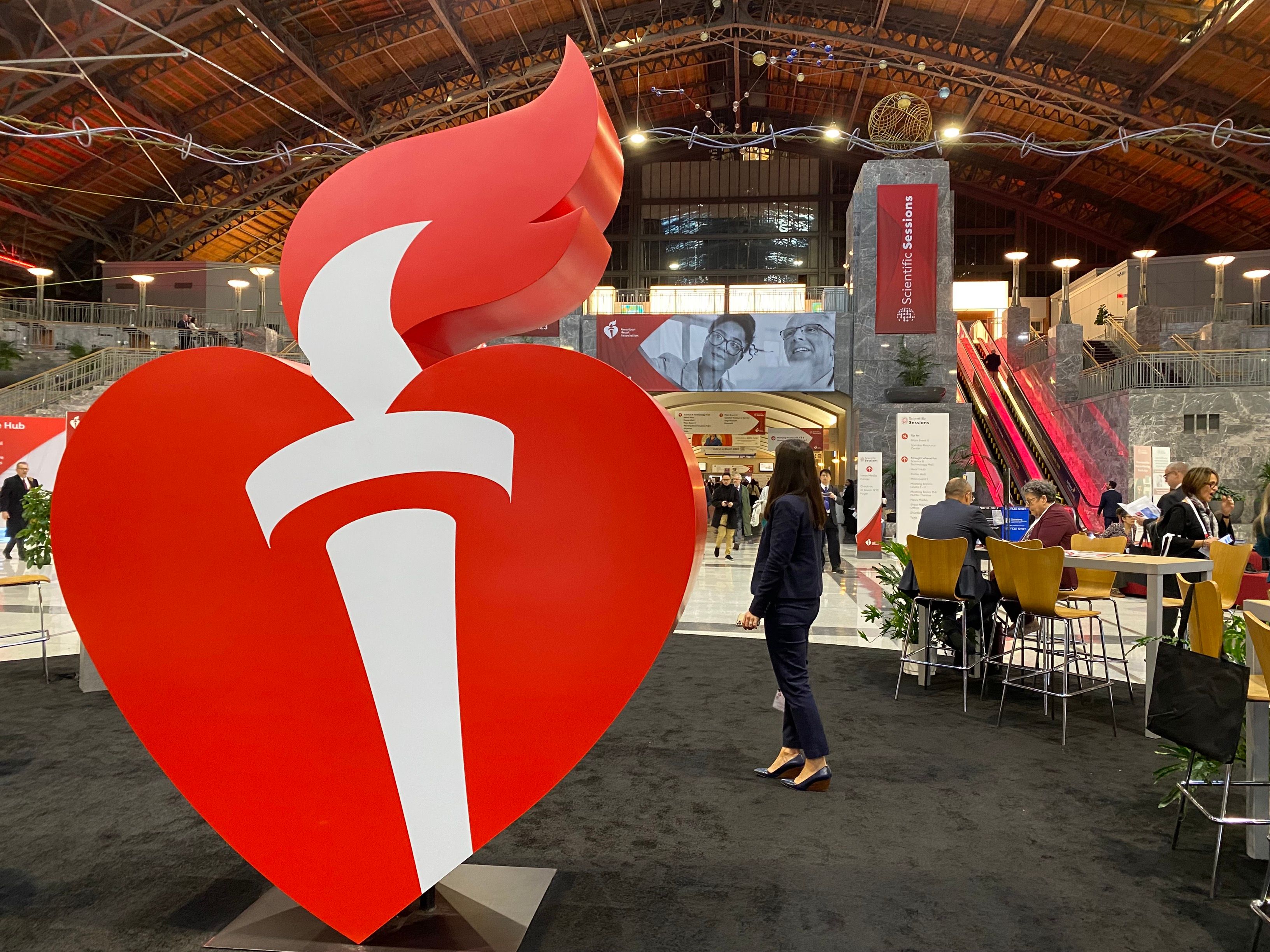 Looking at Stress and Heart Disease in Women | AHA Scientific Sessions ...