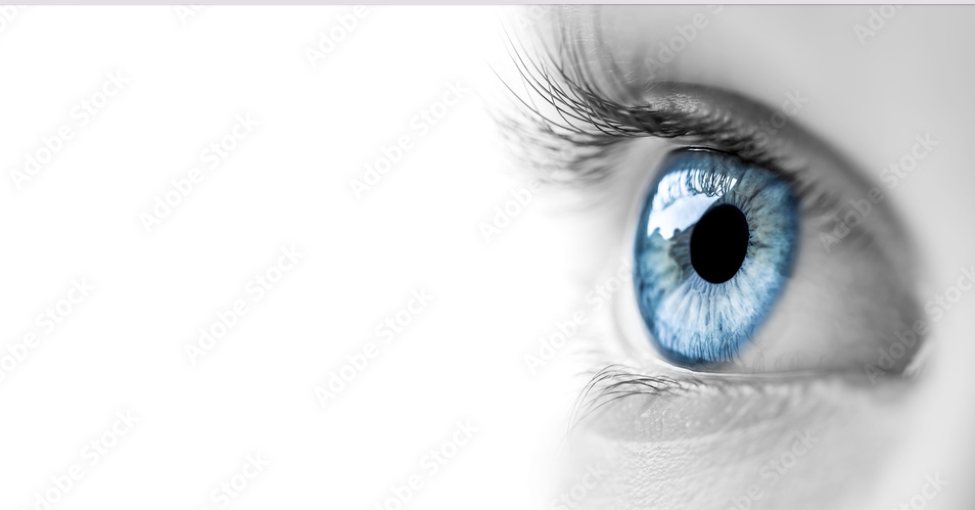 Prevent Blindness declares December 5-11 second Geographic Atrophy ...
