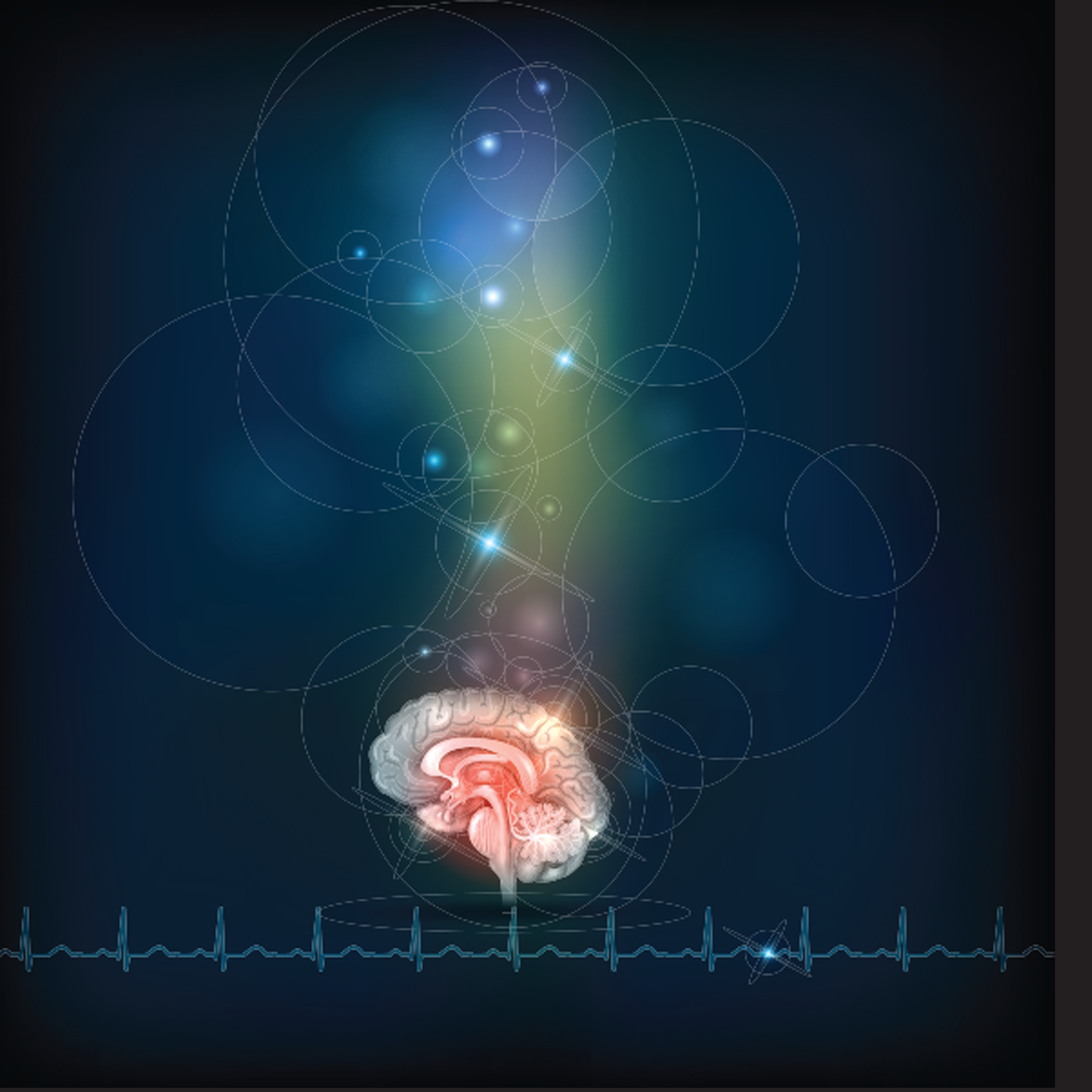 How the Brain Processes Emotions | NeurologyLive - Clinical Neurology ...