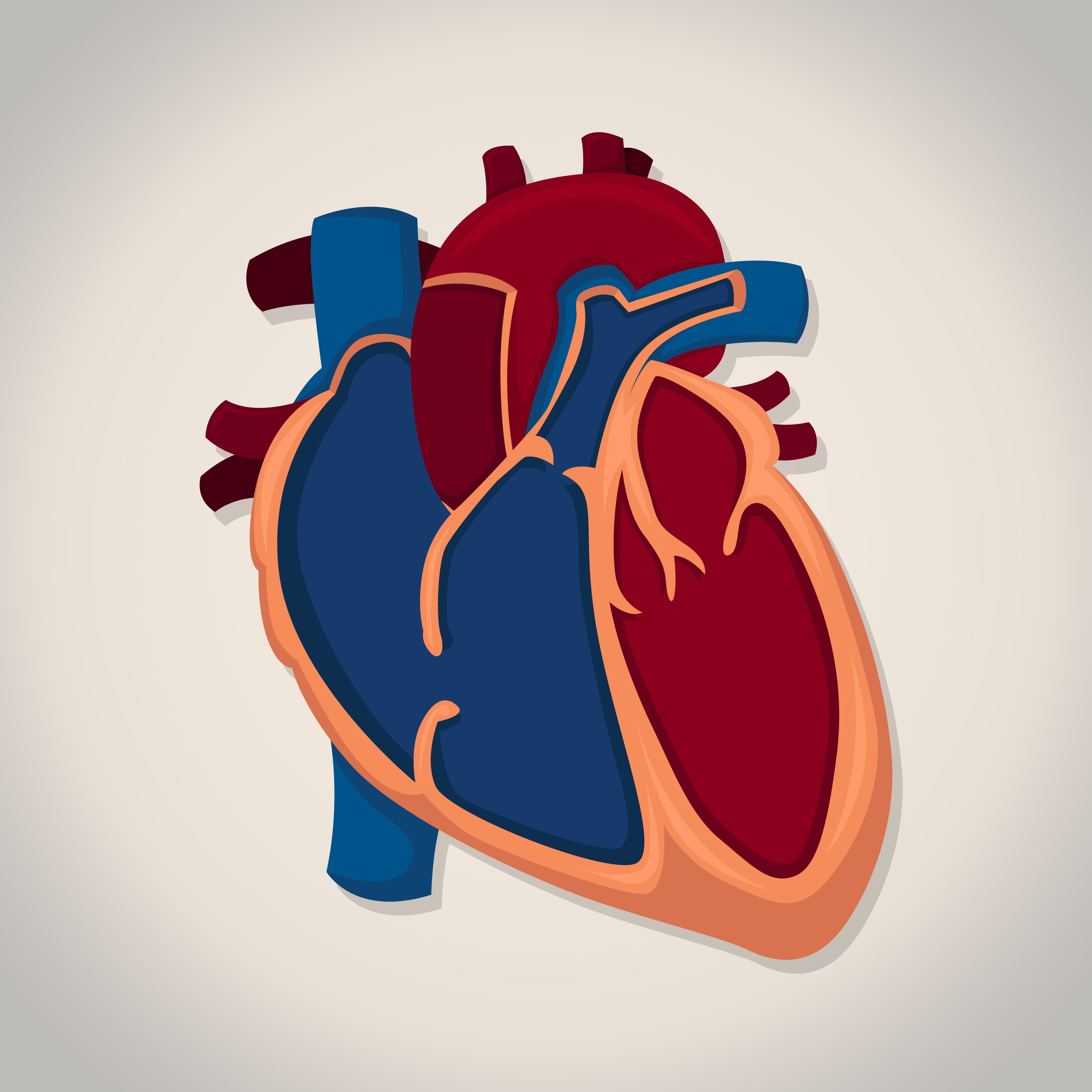 Patent Foramen Ovale Closure for Stroke Prevention