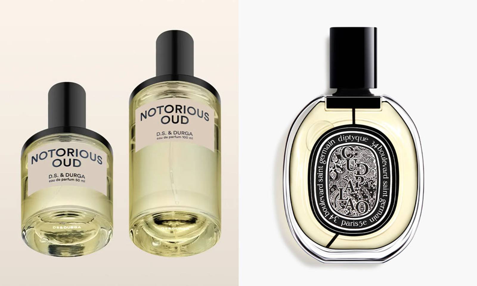 What Is Oud? Your Guide to Perfume’s Most Mysterious—and Expensive ...