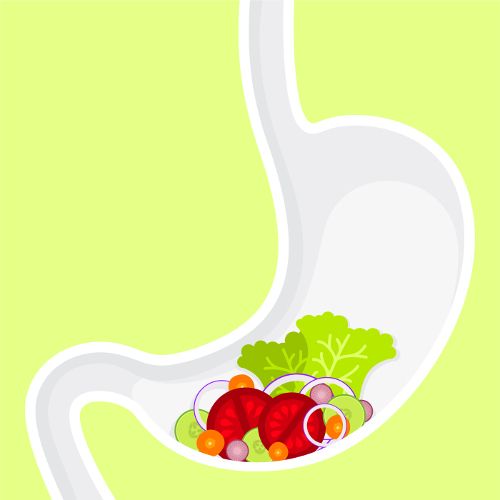 5 Satiety Ingredients for Weight Management