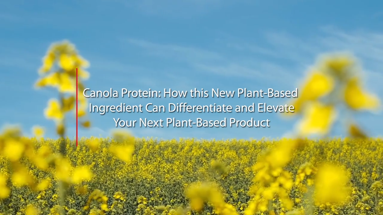 How Canola Protein Can Differentiate and Elevate Your Next Plant-based ...