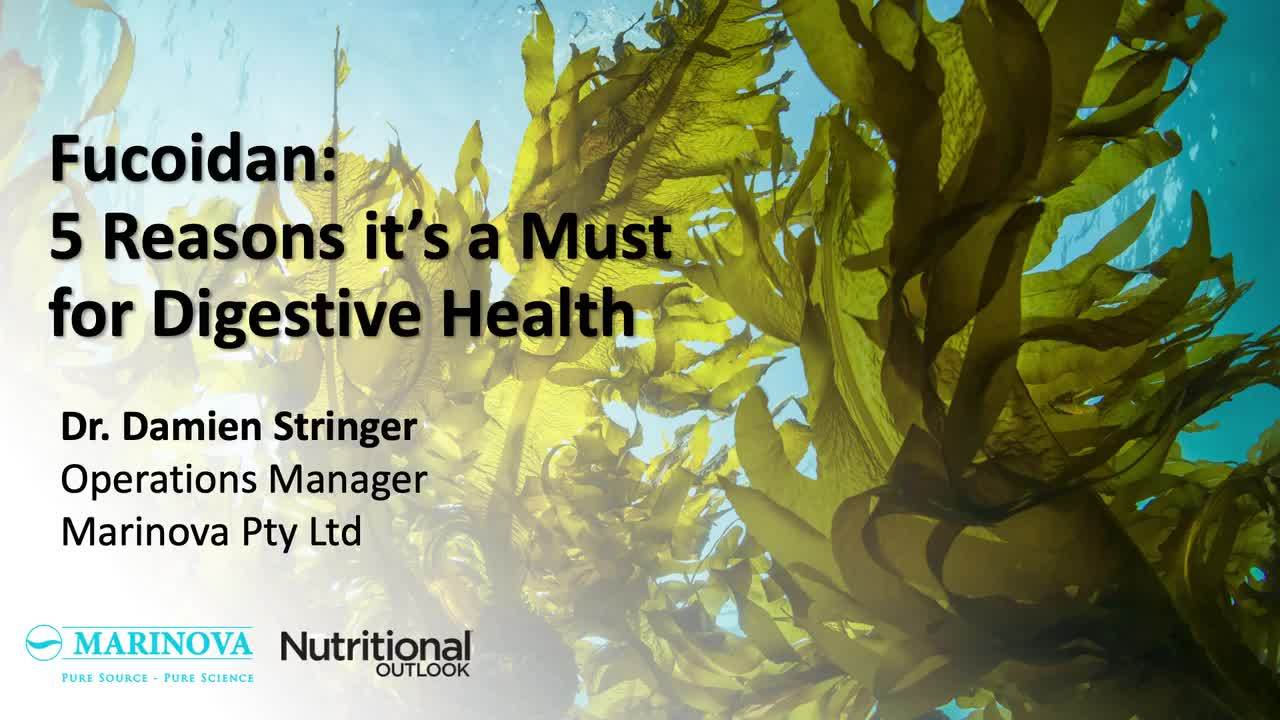 Fucoidan: 5 reasons it’s a Must for Digestive Health