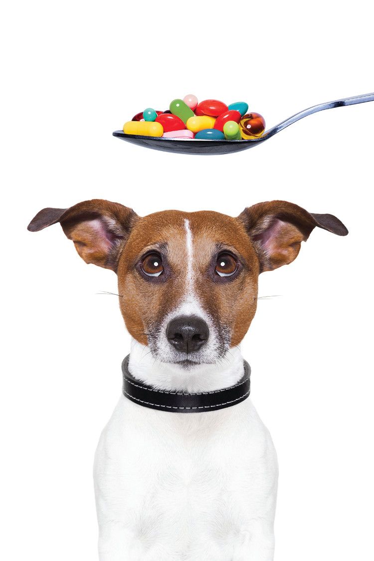 Stratum approved as National Animal Supplement Council Preferred ...