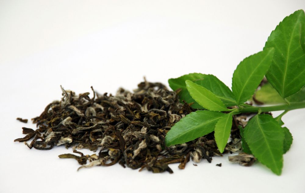 Black Tea Leaves Extract