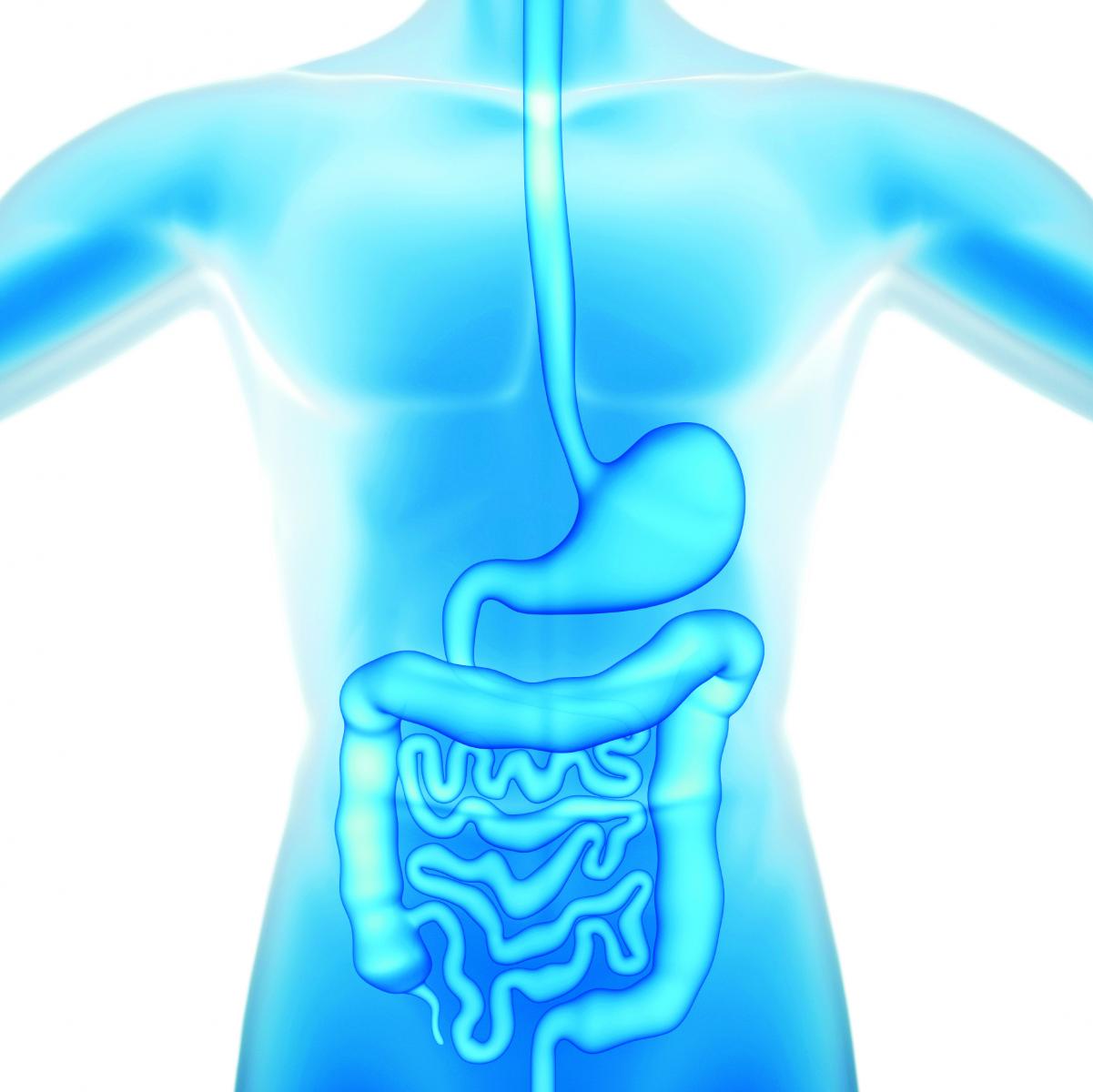 Probiotic Food and Beverages Will Help Gain Customers in Latin America ...