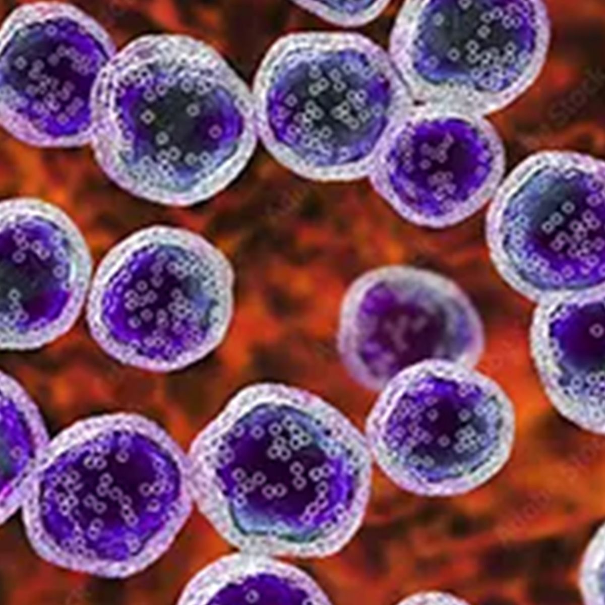 FDA Issues Complete Response Letter to Linvoseltamab BLA in R/R ...