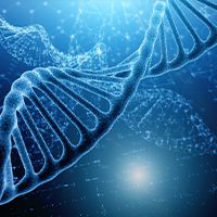 Trastuzumab Biosimilar Ontruzant Enters US Oncology Market