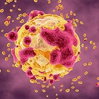 Cemiplimab sBLA in Second-Line Advanced Cervical Cancer Voluntarily ...