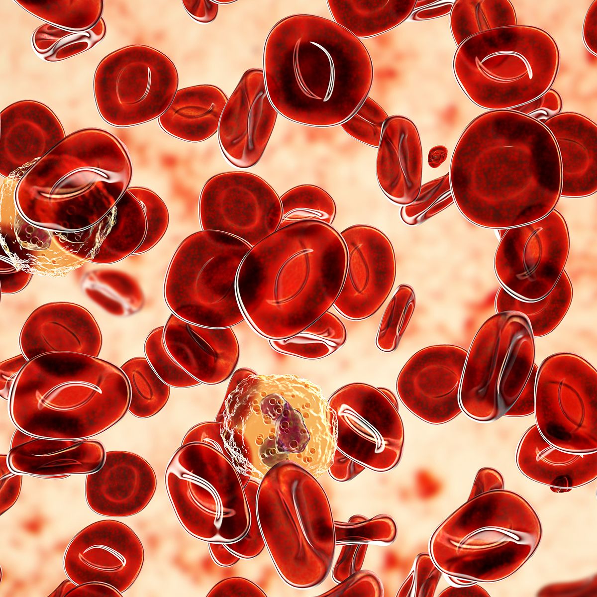 HD-CAR-1 Treatment Is Safe and Feasible in Heavily Pretreated CLL | OncLive