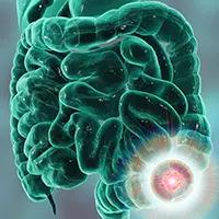 FDA Advises Against Accelerated Approval Pathway for Botensilimab ...