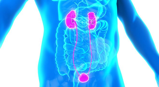 Managing Adverse Effects of Immunotherapy in Genitourinary Cancers