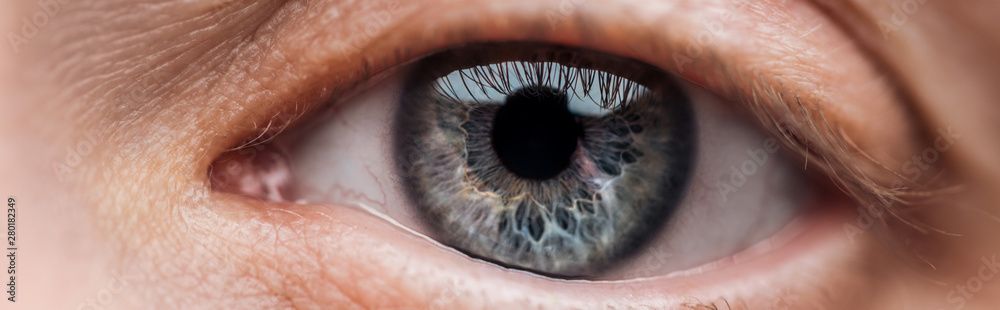 Oculis presents of Phase 2 data showing topical OCS-01 improves macular ...