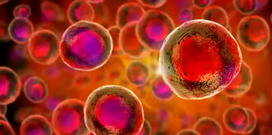 NIH scientists create eye tissue using 3D bioprinting