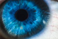 Oculis highlights positive phase 2 data investigating topical anti-TNFα ...