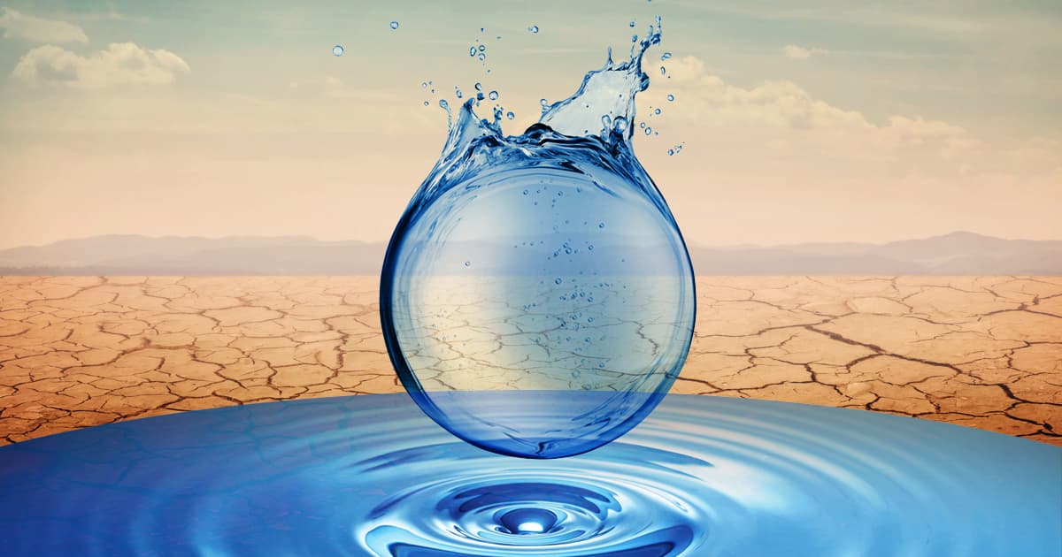 Dry eye paradise: FDA green-lights Miebo as first and only eye drop ...