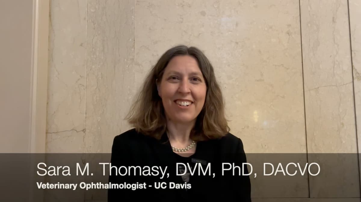 Glaucoma from the perspective of a veterinary ophthalmologist with Sara ...