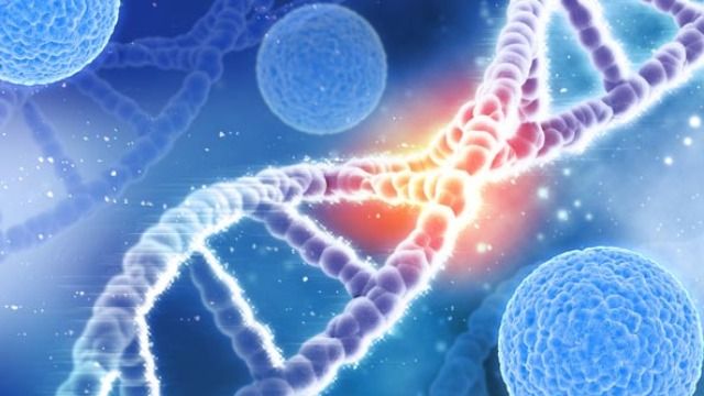 Optogenetic gene therapy restores vision in 11 RP patients