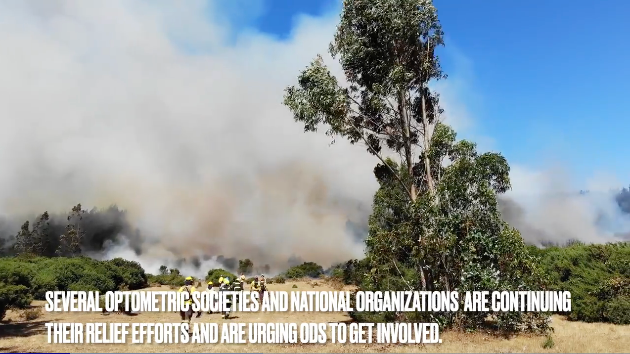 How ODs are helping with Los Angeles wildfire cleanup