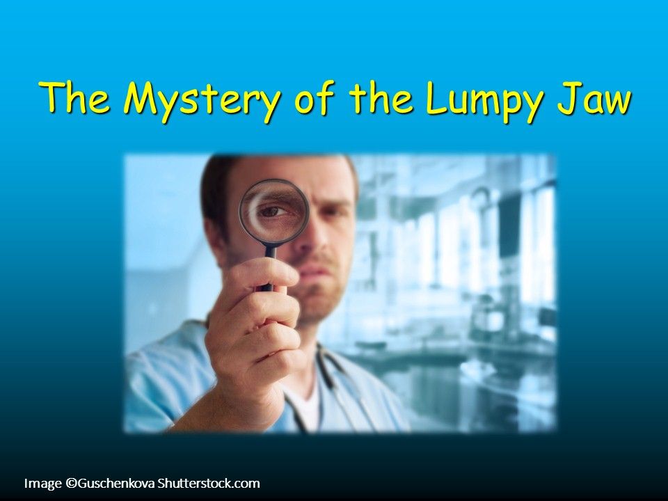 "Lumpy Jaw" in a 20-year-old Male Resists Treatment