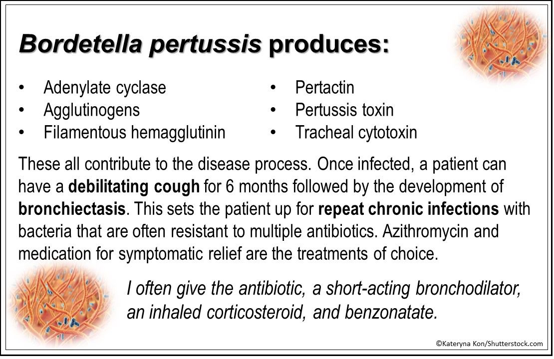 Pertussis and Parents Who Don’t Vaccinate: One Physician's Experience ...
