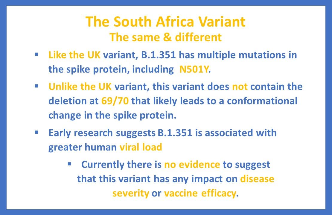 The COVID-19 Variants: What We Know So Far