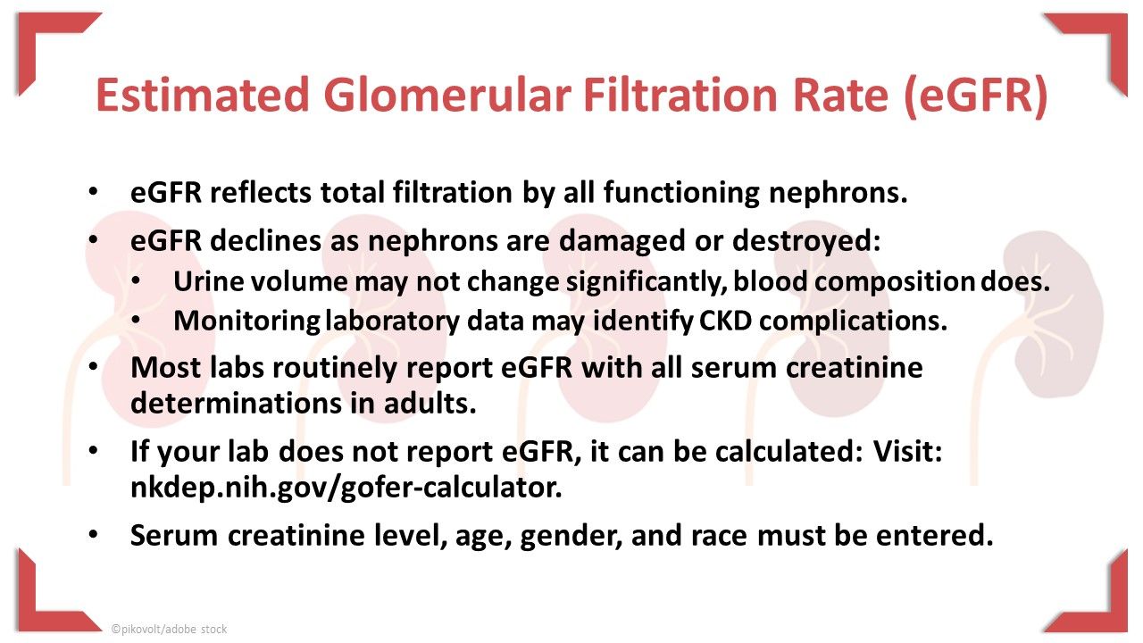 How to Identify & Evaluate Chronic Kidney Disease Using eGFR and UACR ...