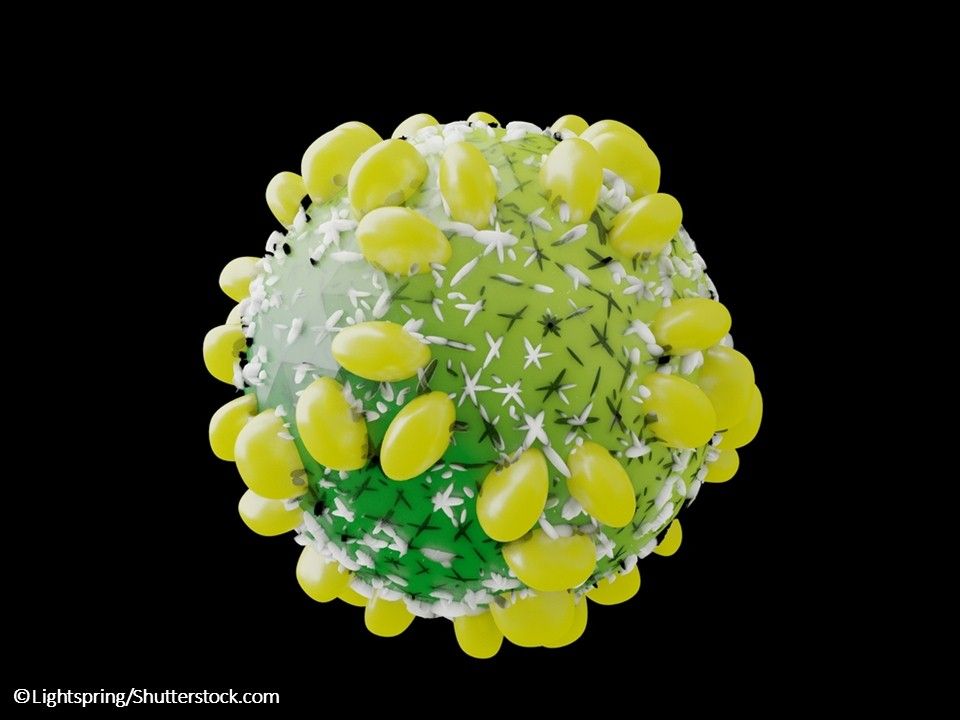 HCV and Primary Care: A Special Report Recap