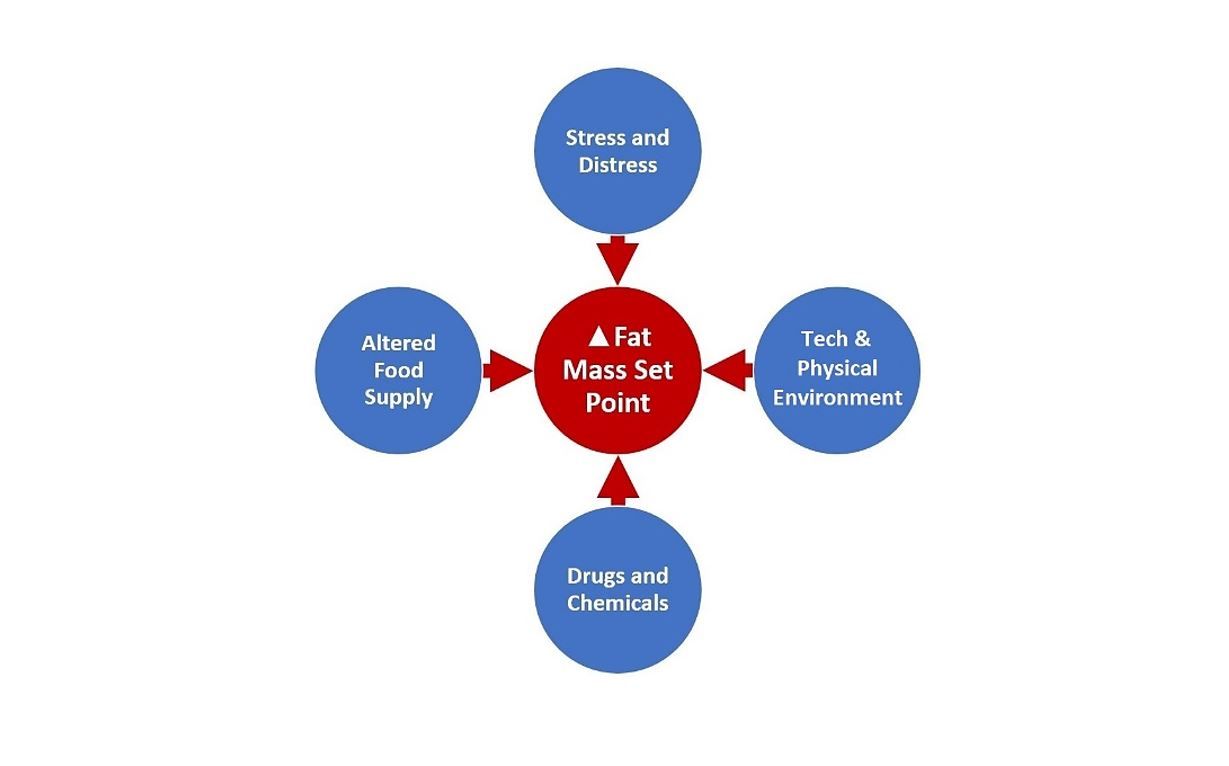 New Insights into the Physiology of Obesity - What They Mean for ...