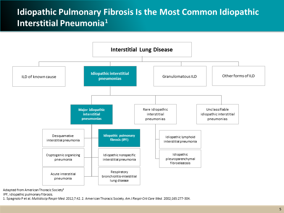 An Introduction to Idiopathic Pulmonary Fibrosis | Patient Care Online