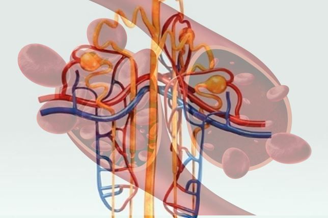 FDA Accepts Daprodustat NDA for Anemia of Chronic Kidney Disease