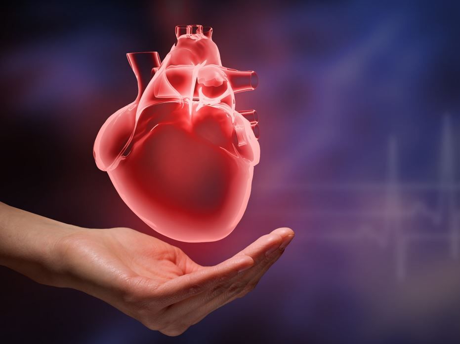 Comparison of Loop Diuretics Shows No Difference in Heart Failure Survival