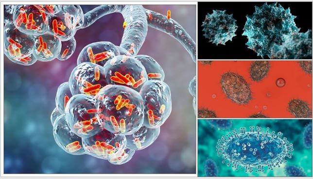 CDC 2023 Immunization Updates for 5 Vaccine-Preventable Illnesses