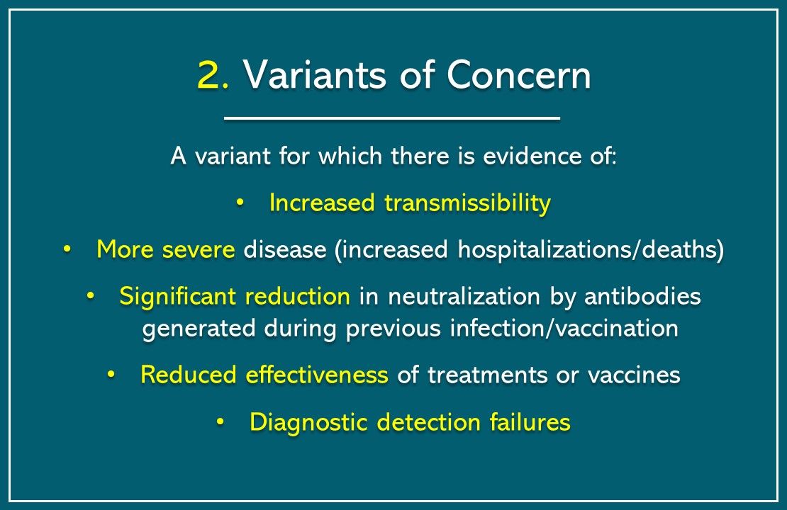 SARS-CoV-2 Variants: How Many and How Dangerous?