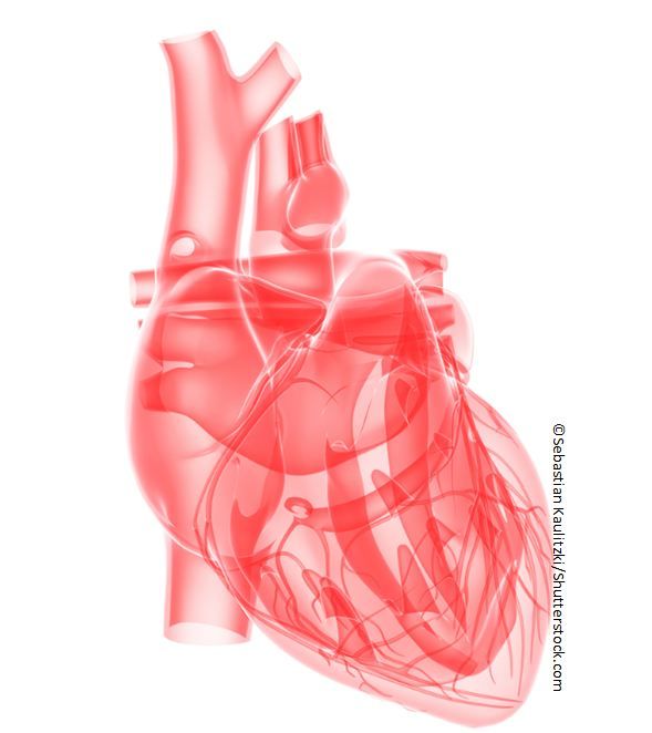 Refining Terms in Afib: Moving Away from “Valvular” and “Nonvalvular”