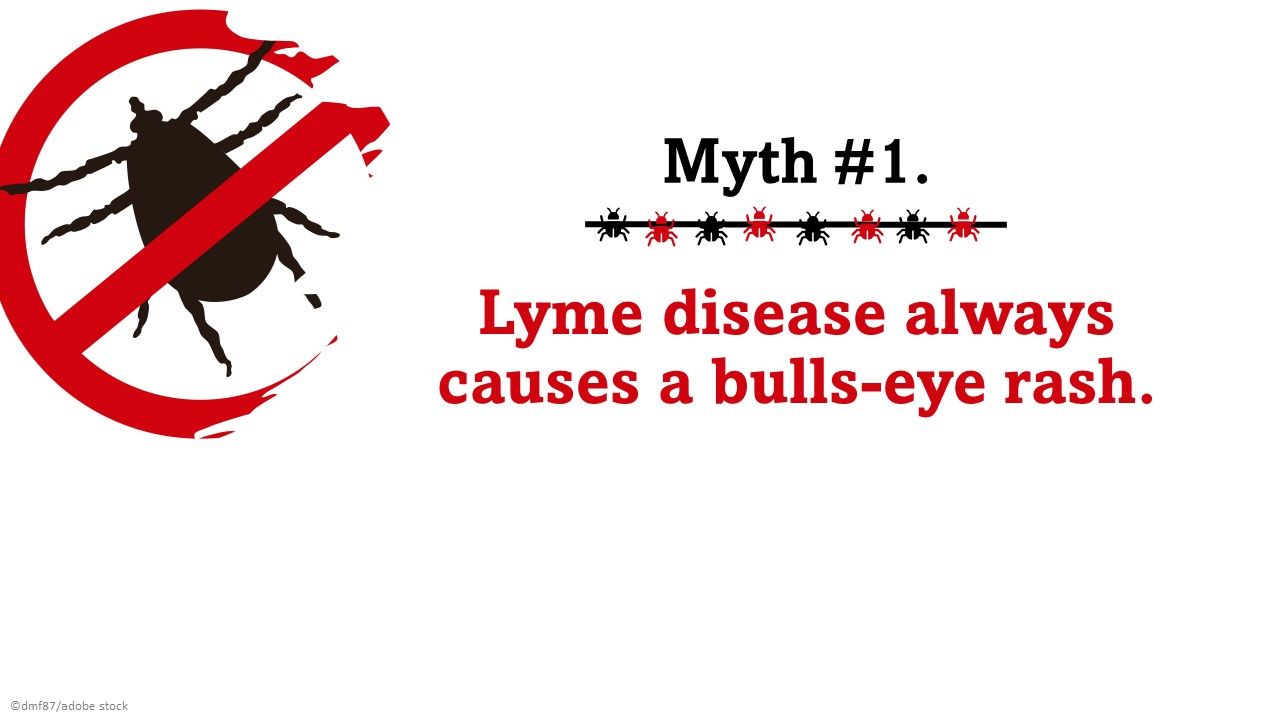 9 Lyme Disease Myths and Facts: A Misinformation Refresher for Primary Care