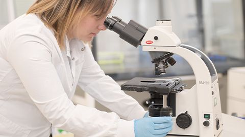 SynaptixBio, Evotec Extend Research and Development Collaboration