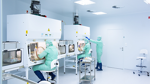 Vector BioMed Makes Company Debut